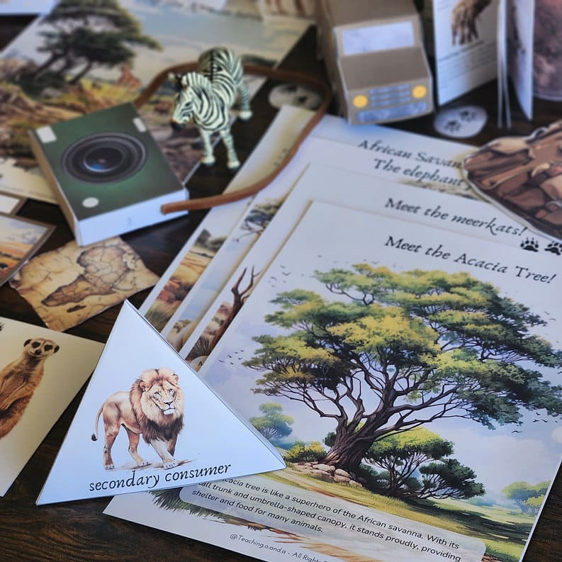 African Savanna Printable Activities – 80-Page Safari Pack – My Mega ...