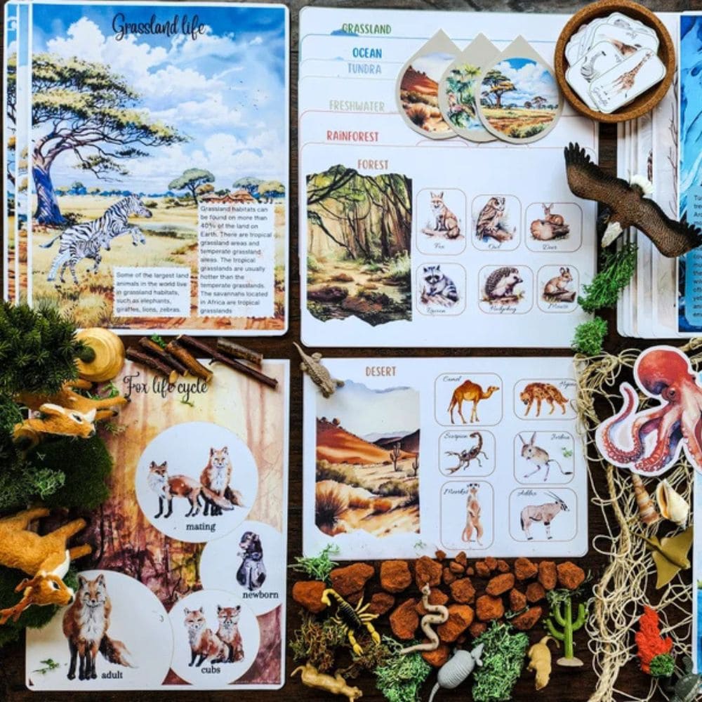 Animal Habitats Printable Study – My Mega Bundles LLC
