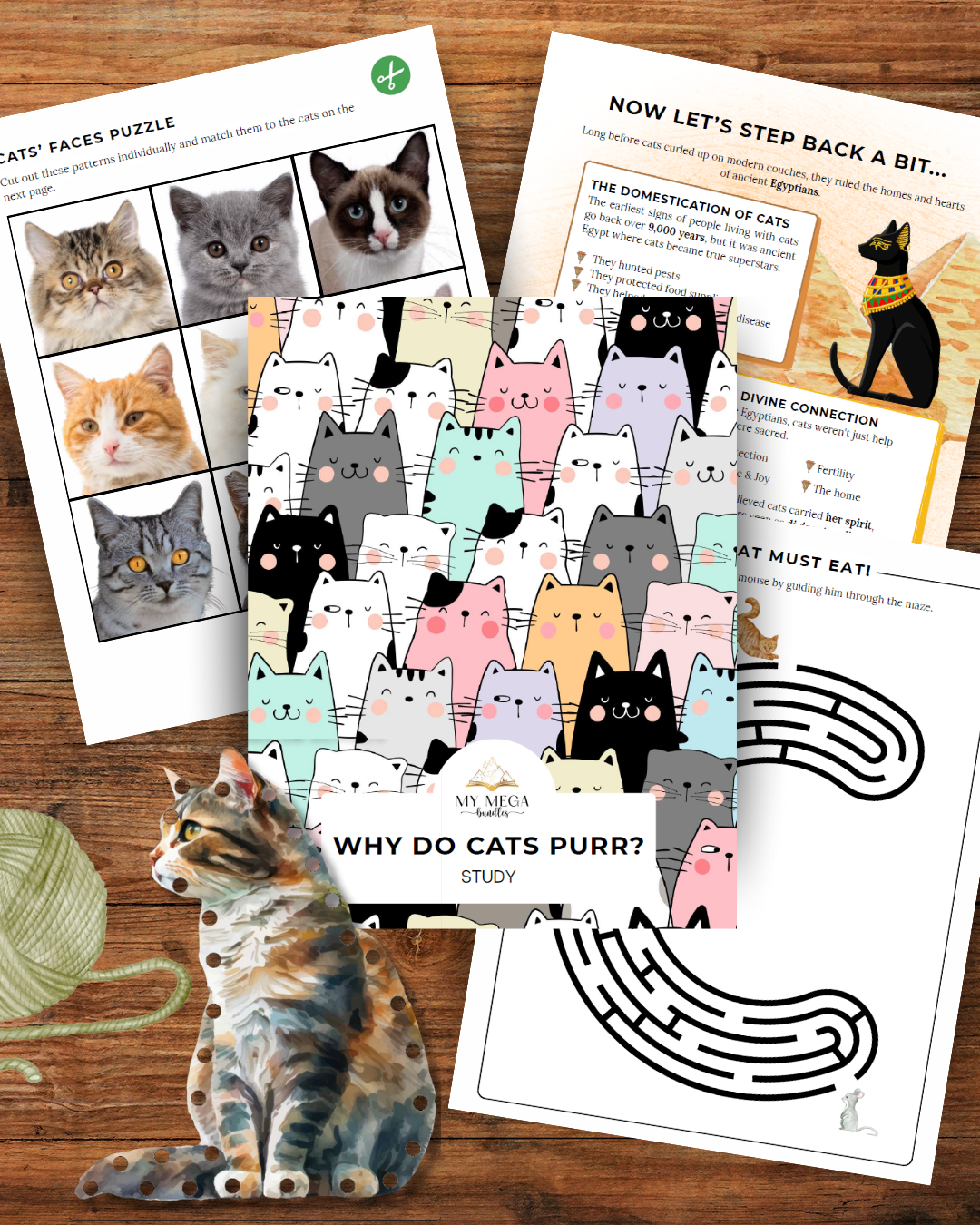 Cat Day Mini Study Printable for Kids Ages 6–10 – My Mega Bundles