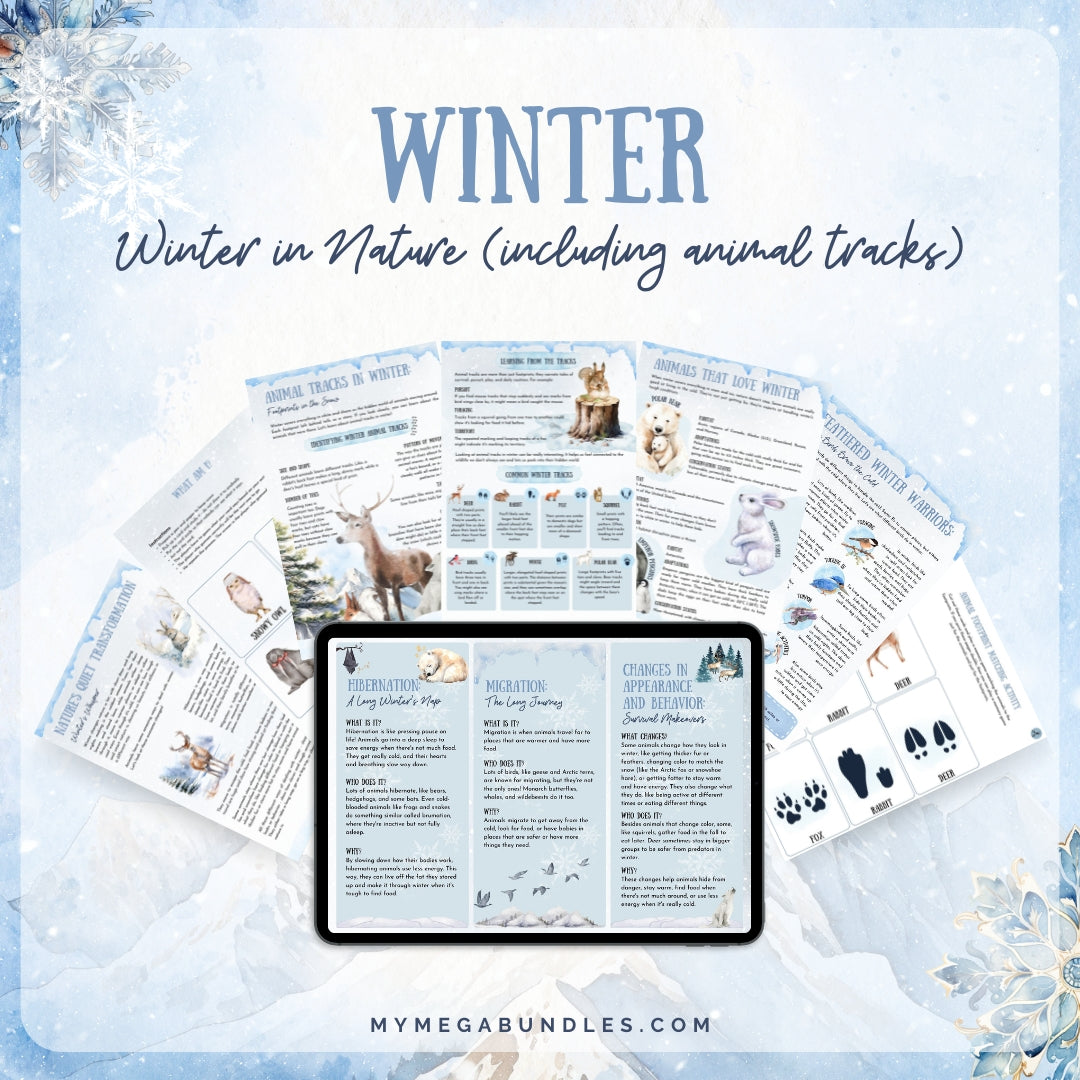 Enchanting Winter Wonderland Printable Study | Homeschool Printable ...