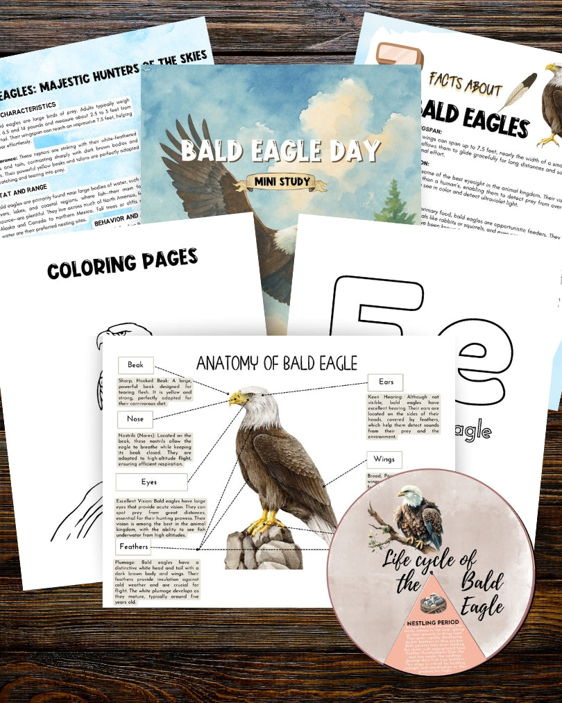 National Bald Eagle Day Printable for Kids | 10 Fun Pages – My Mega ...