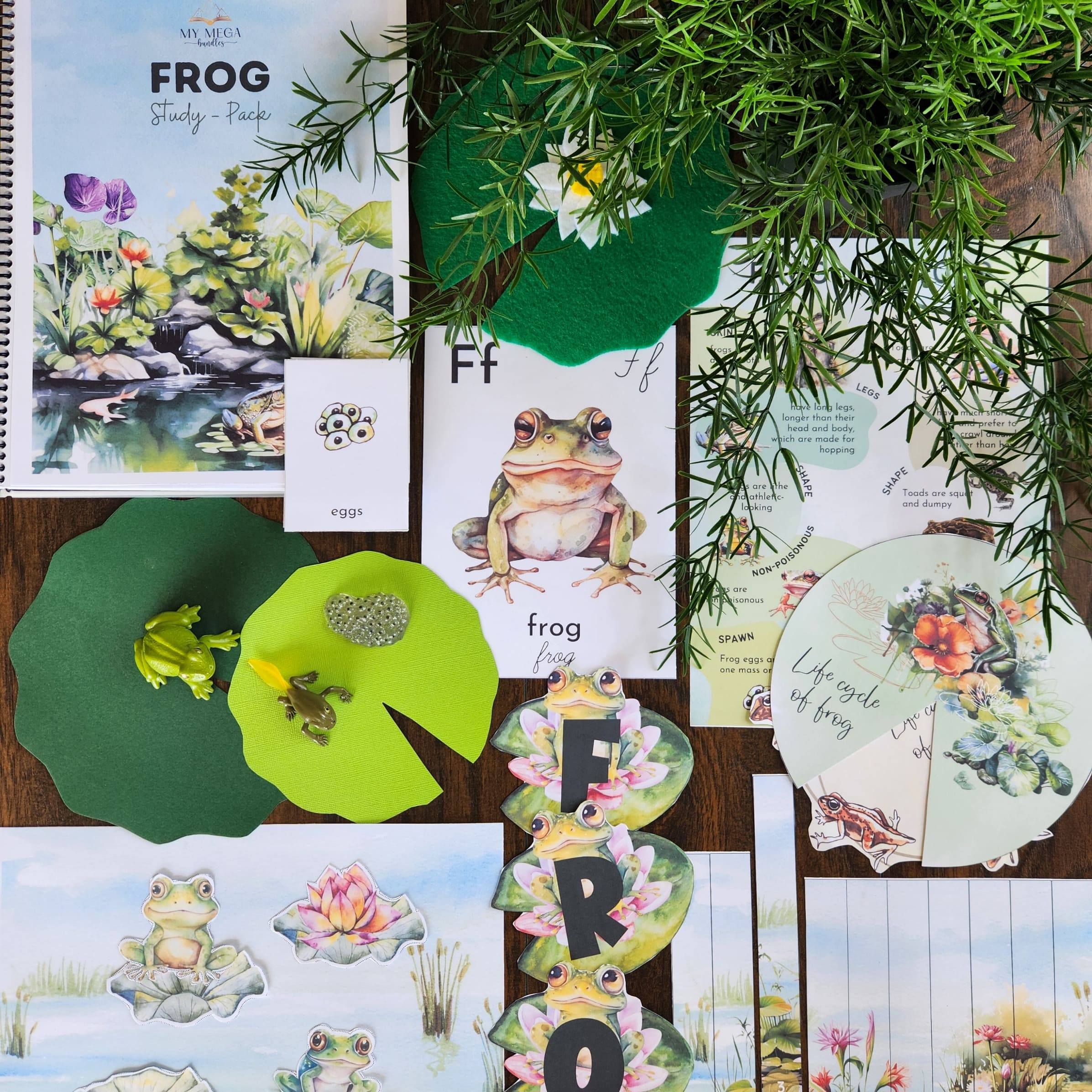 Frog Nature Study Pack | Homeschool Printable – My Mega Bundles LLC