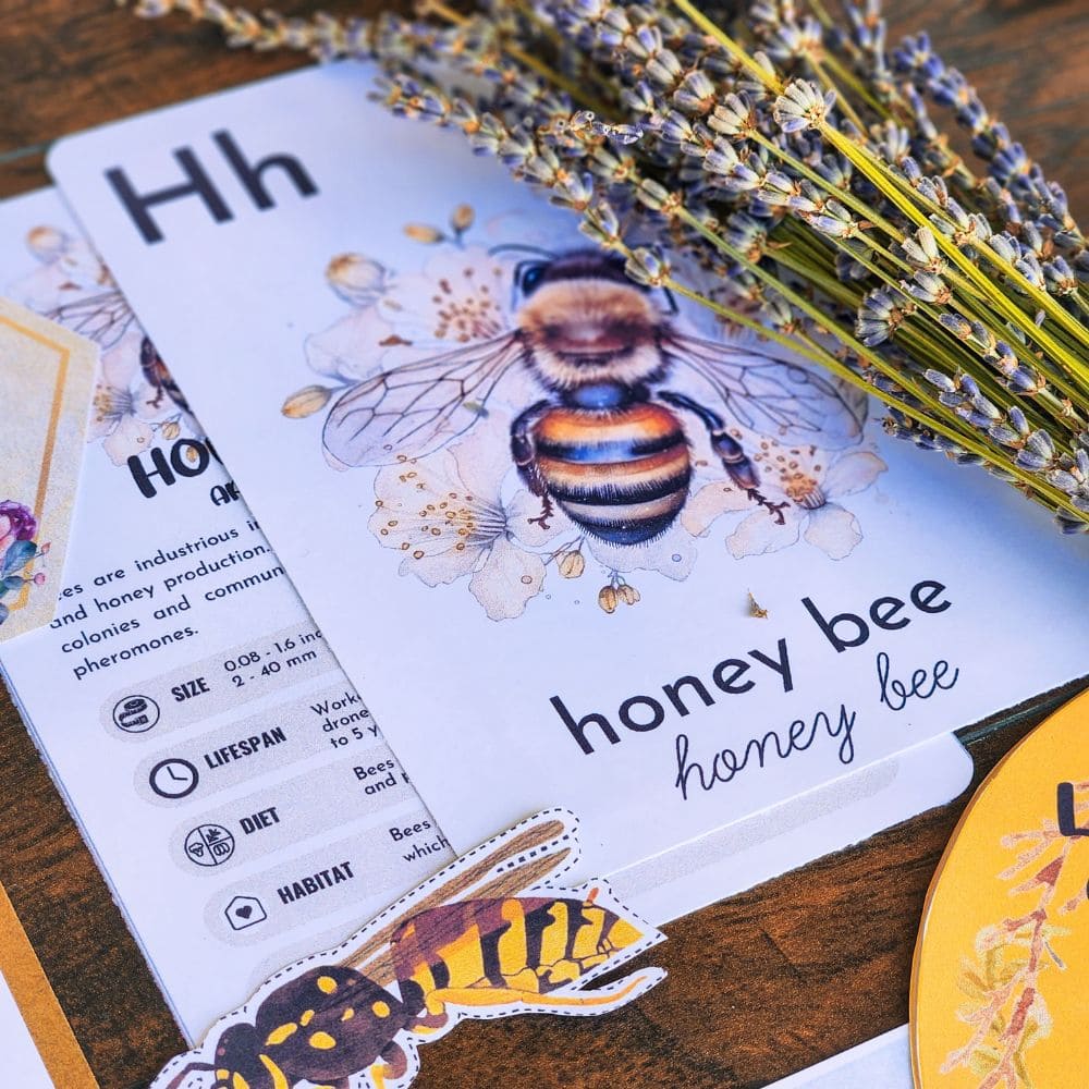 Honey Bee Educational Posters and Montessori Cards | Homeschool ...