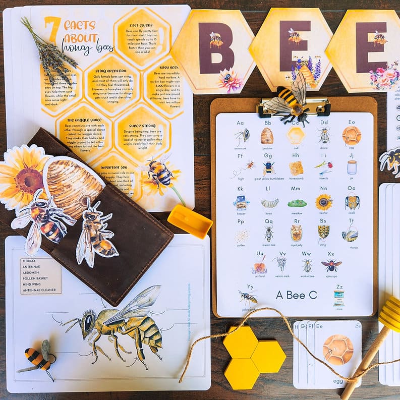 Honey Bee Exploration Printable Study | Homeschool Printable – My Mega ...