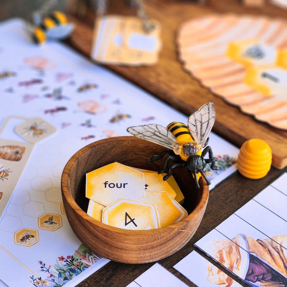 Honey Bee Math and Sensorial Study Pack – My Mega Bundles LLC