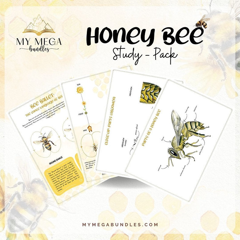 Honey Bee Study Printable Study | Homeschool Printable – My Mega ...