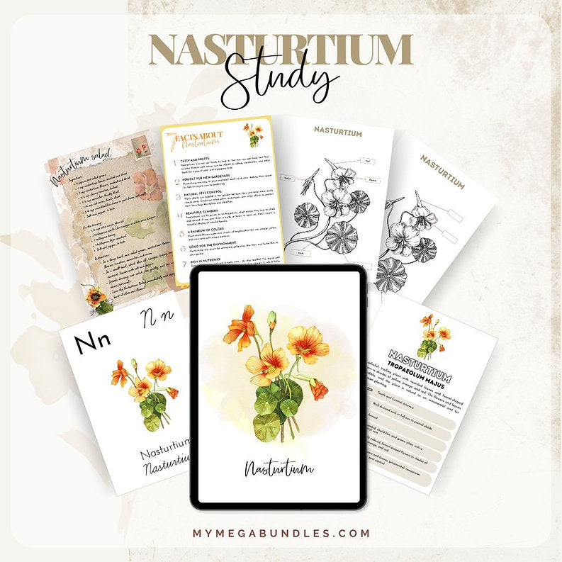 Nasturtium Knowledge Pack: Explore the Beauty of Botany – My Mega ...