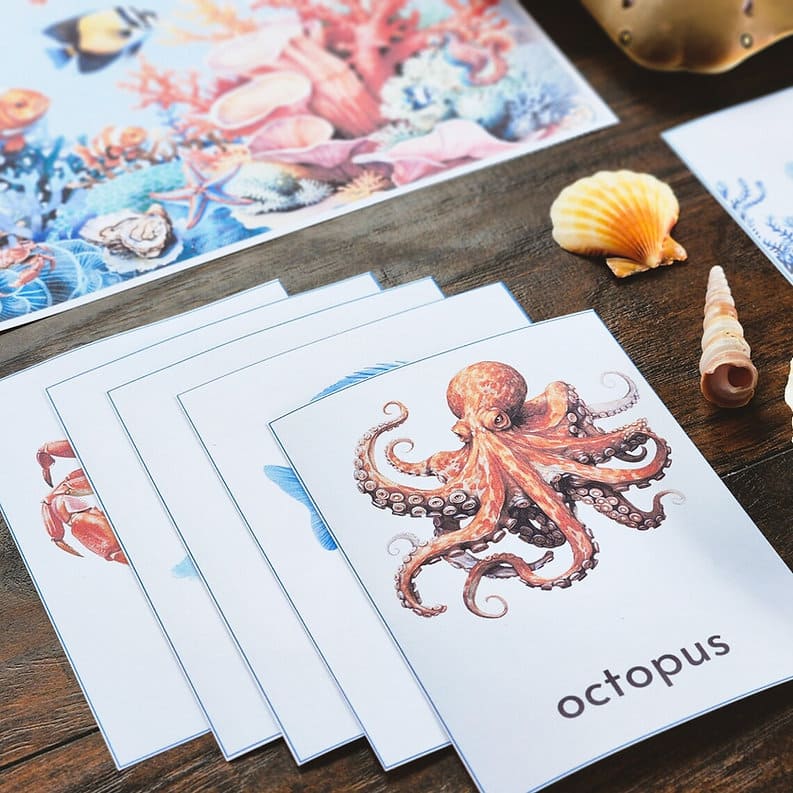 Ocean Creatures Mini Pack | Homeschool Printable – My Mega Bundles LLC