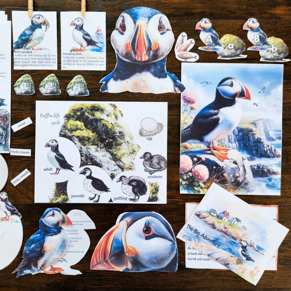 Puffins Nature Unit Study | Homeschool Printable – My Mega Bundles LLC