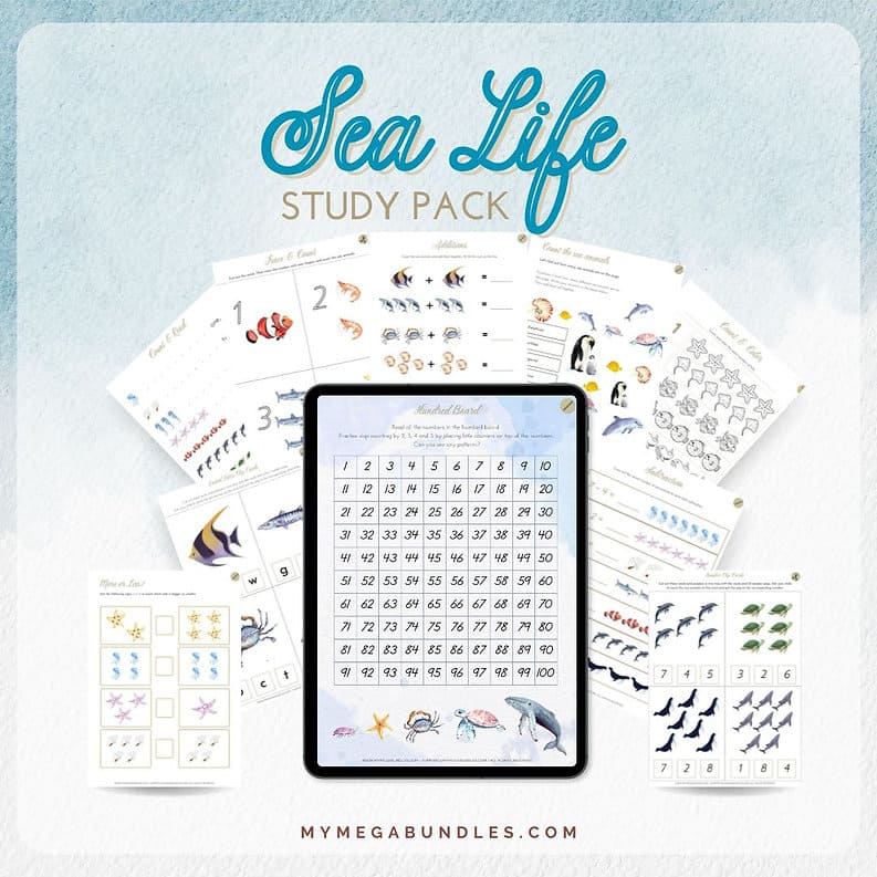 Sea Life Printable Study | Homeschool Printable – My Mega Bundles LLC