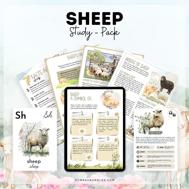 Sheep Study Pack | Homeschool Printable – My Mega Bundles LLC