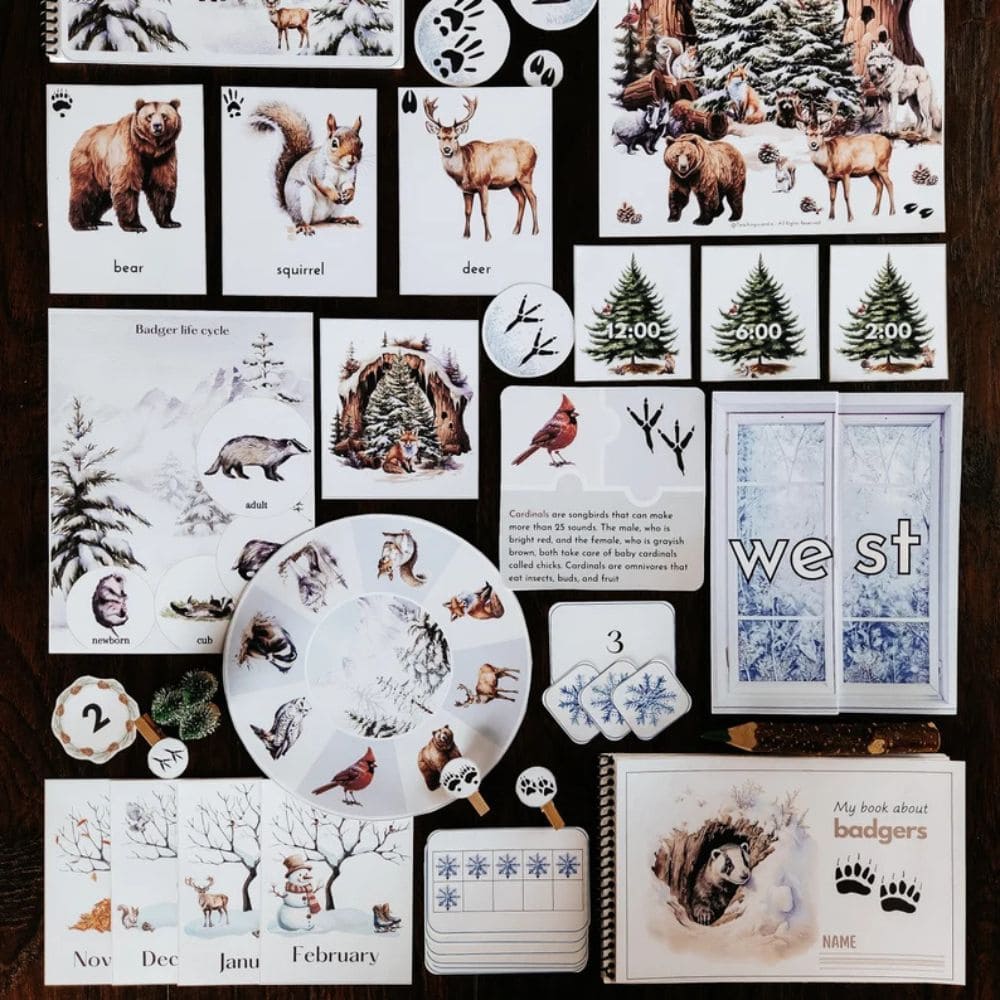 Winter Unit Printable Study | Homeschool Printable – My Mega Bundles LLC