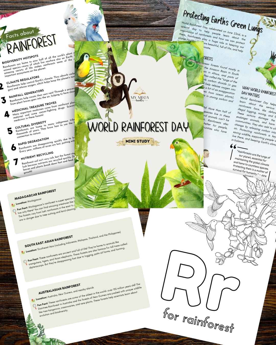 World Rainforest Day Printable for Children | 14 Pages of Learning – My ...
