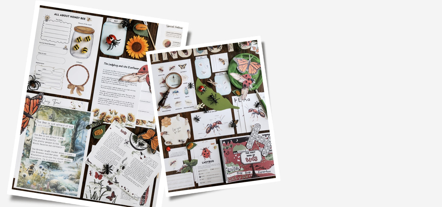 Shop Homeschool Resources & Teaching Worksheets | My Mega Bundles – My ...