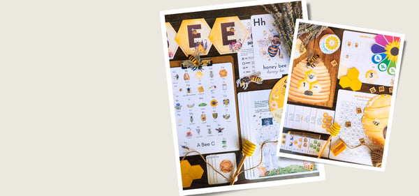 Shop Homeschool Resources & Teaching Worksheets | My Mega Bundles – My ...