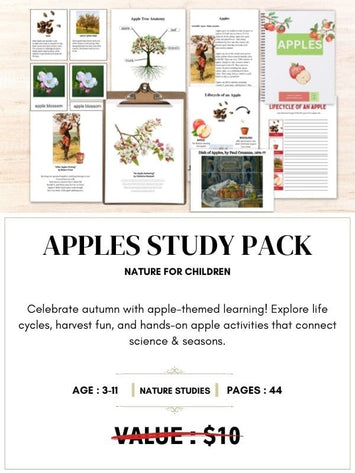 FALL MEGA BUNDLE – My Mega Bundles LLC