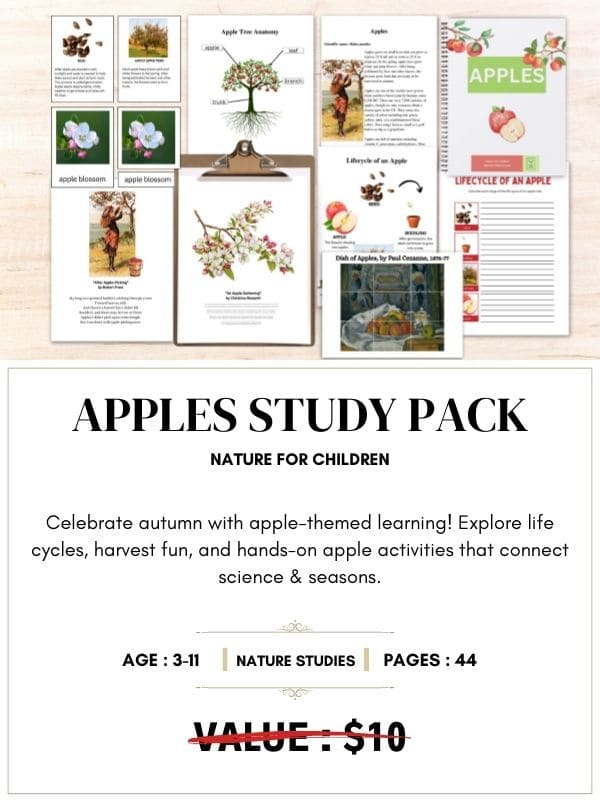 FALL MEGA BUNDLE – My Mega Bundles LLC