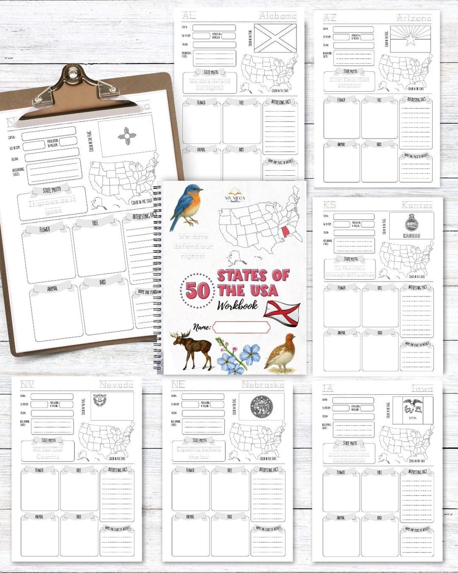 Spark Curiosity Mega Bundle – My Mega Bundles LLC