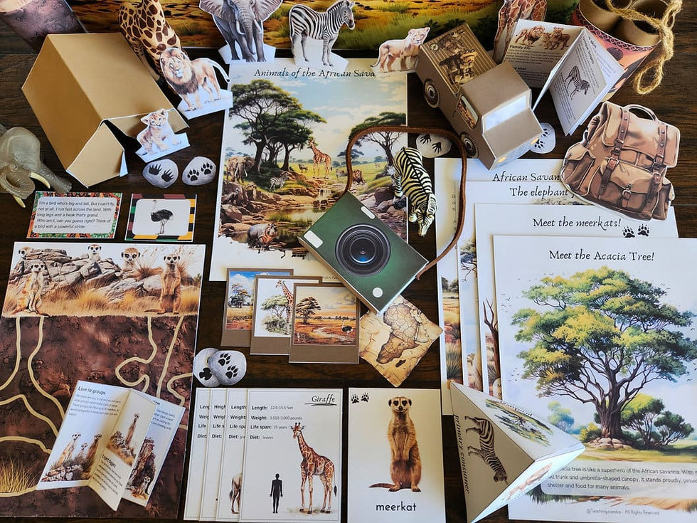 African Savanna Printable Activities – 80-Page Safari Pack – My Mega ...