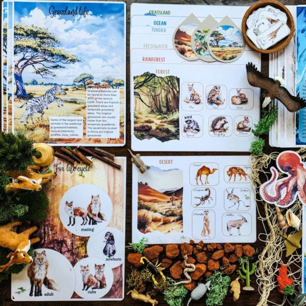Animal Habitats Printable Study | Homeschool Printable – My Mega Bundles