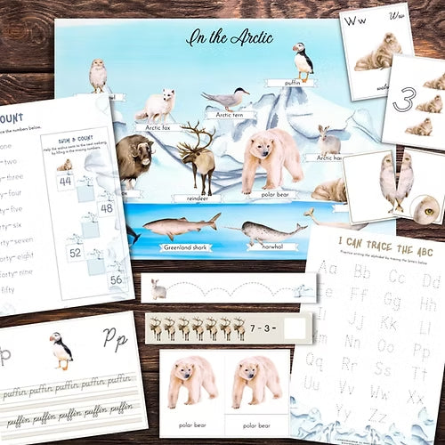 Arctic Friends Printable Study | Homeschool Printable – My Mega Bundles LLC