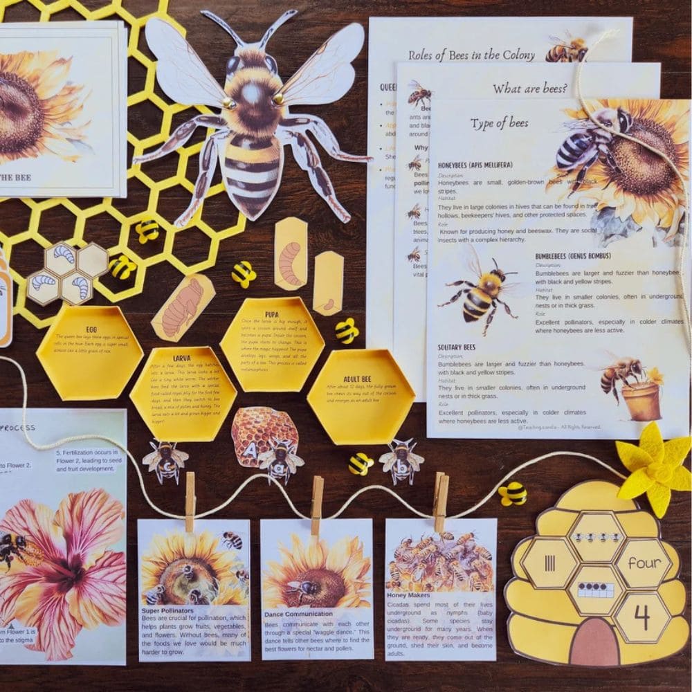 Bee Study Pack | Homeschool Printable – My Mega Bundles LLC