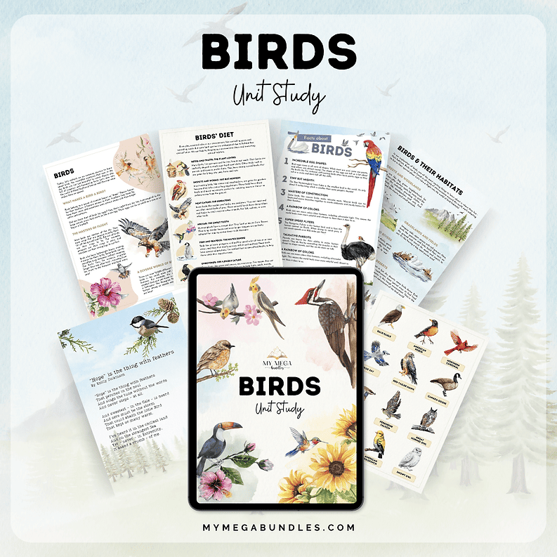 Birds Unit Study Printable | Homeschool Printable – My Mega Bundles LLC