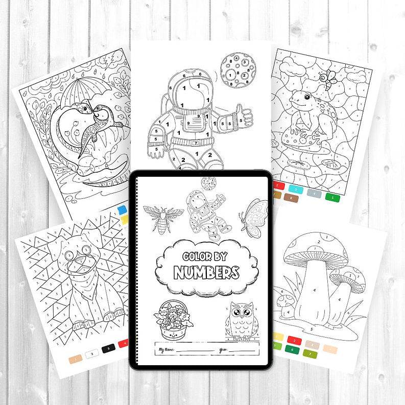 Color By Numbers Printable | Homeschool Printable – My Mega Bundles LLC