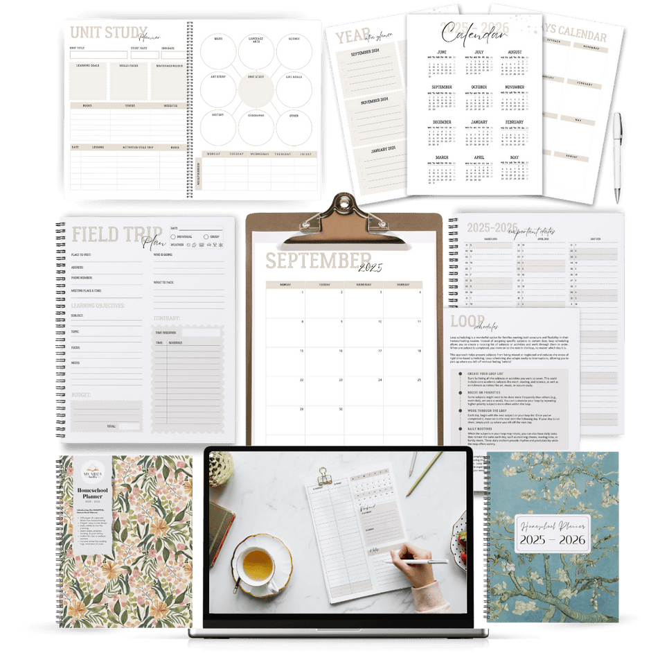 Spark Curiosity Mega Bundle – My Mega Bundles LLC