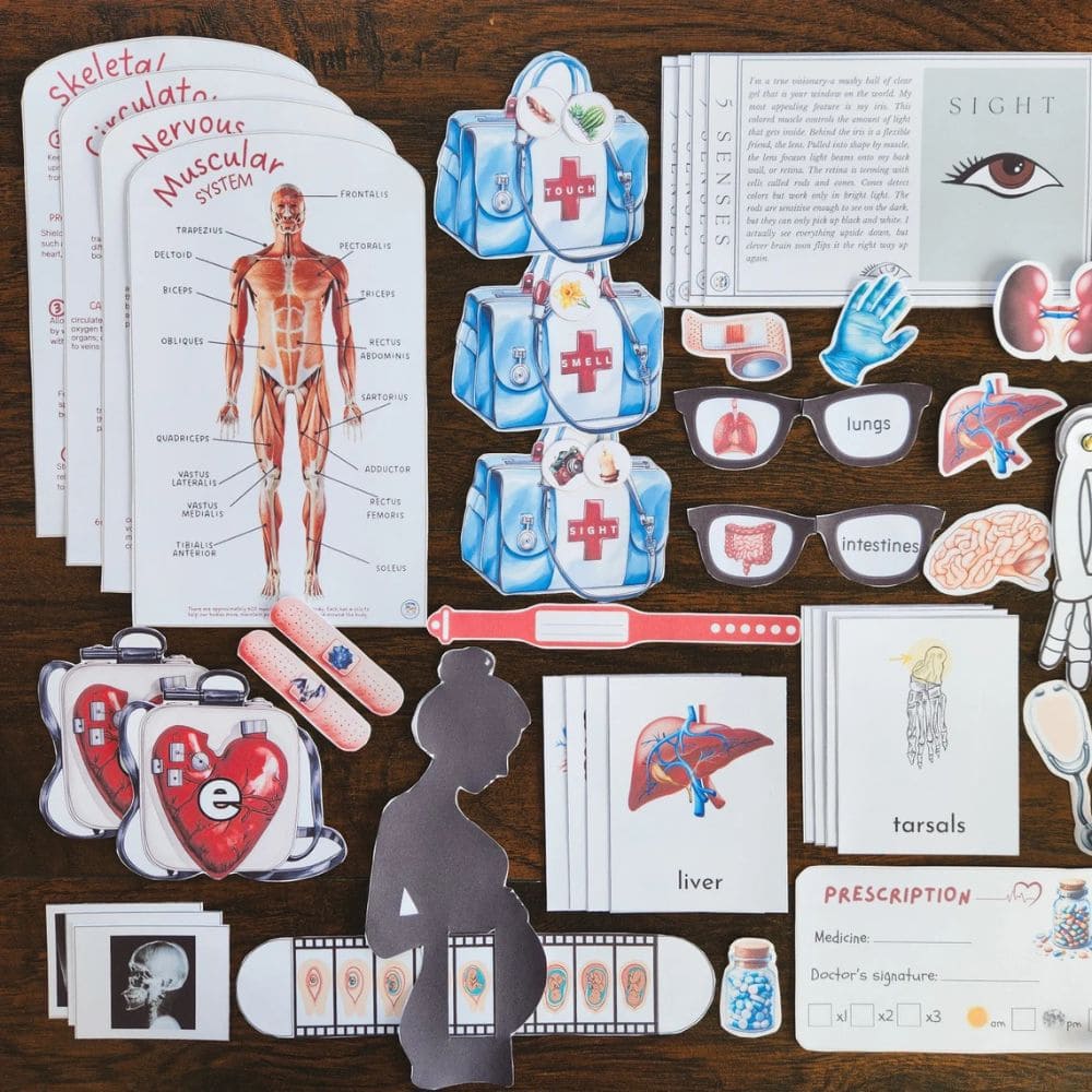 Human Body Unit Printable Study | Homeschool Printable – My Mega ...
