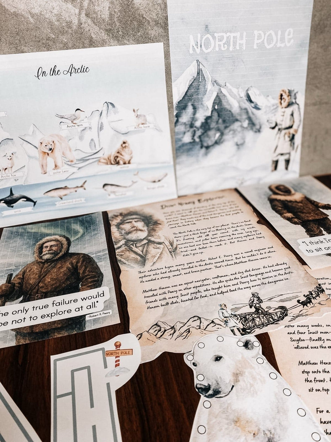 Collections – My Mega Bundles