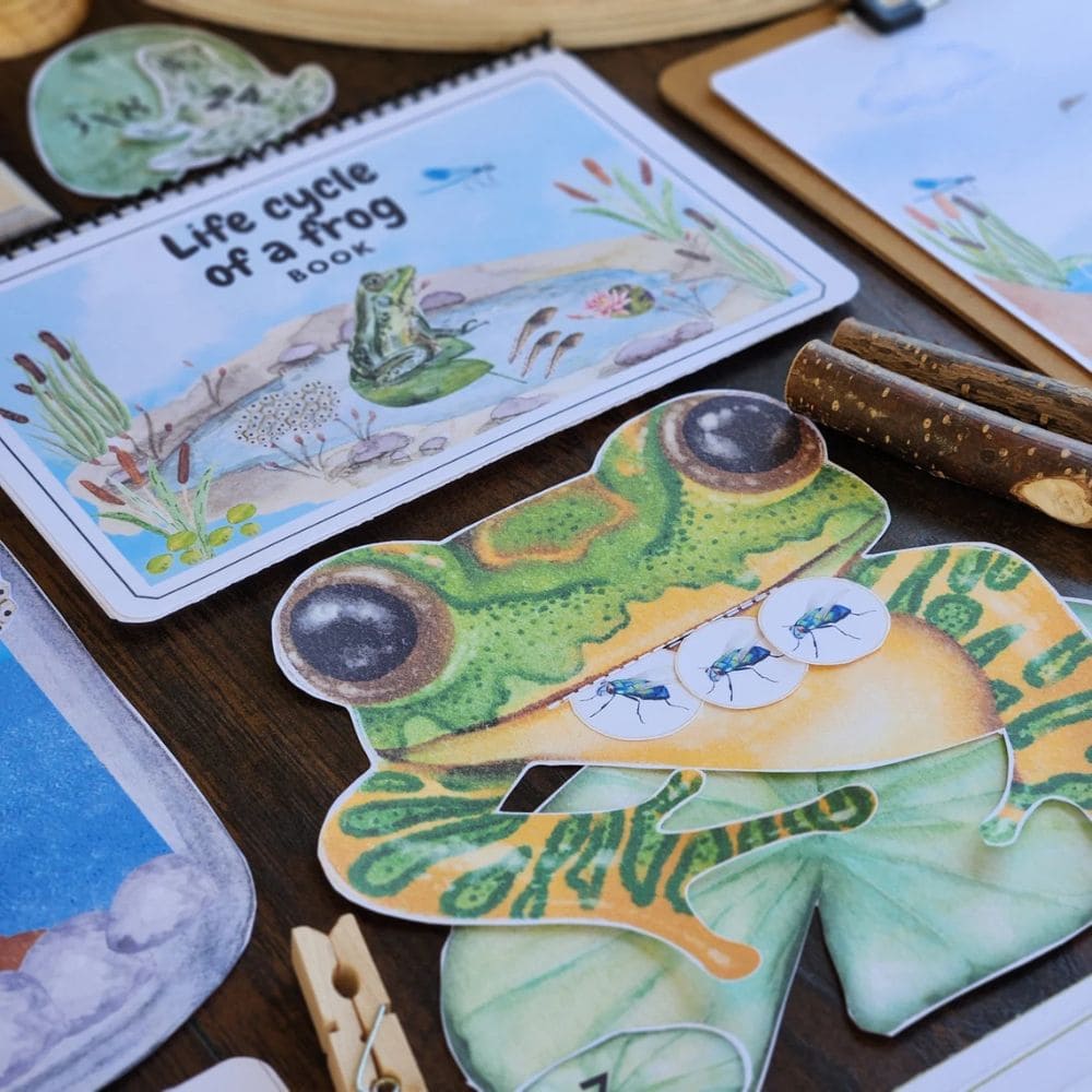 Pond Unit Printable Study | Homeschool Printable – My Mega Bundles LLC