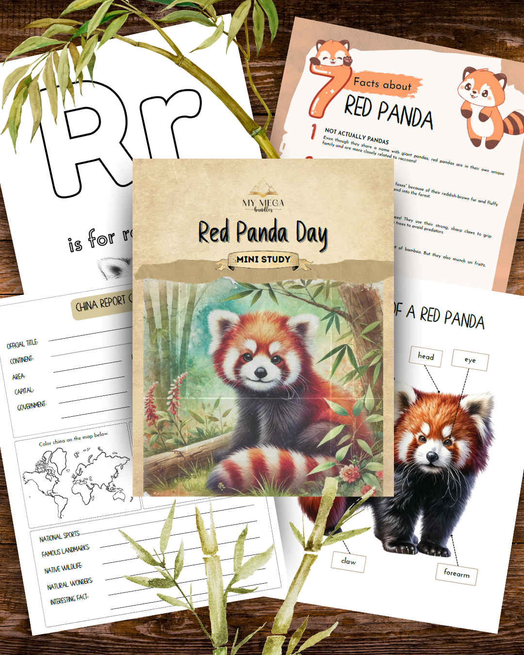 Red Panda Day Animal Study Printable – My Mega Bundles