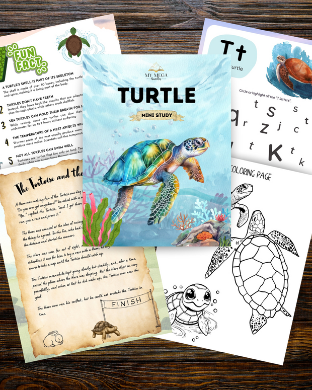 Turtle Mini Unit Study – My Mega Bundles LLC