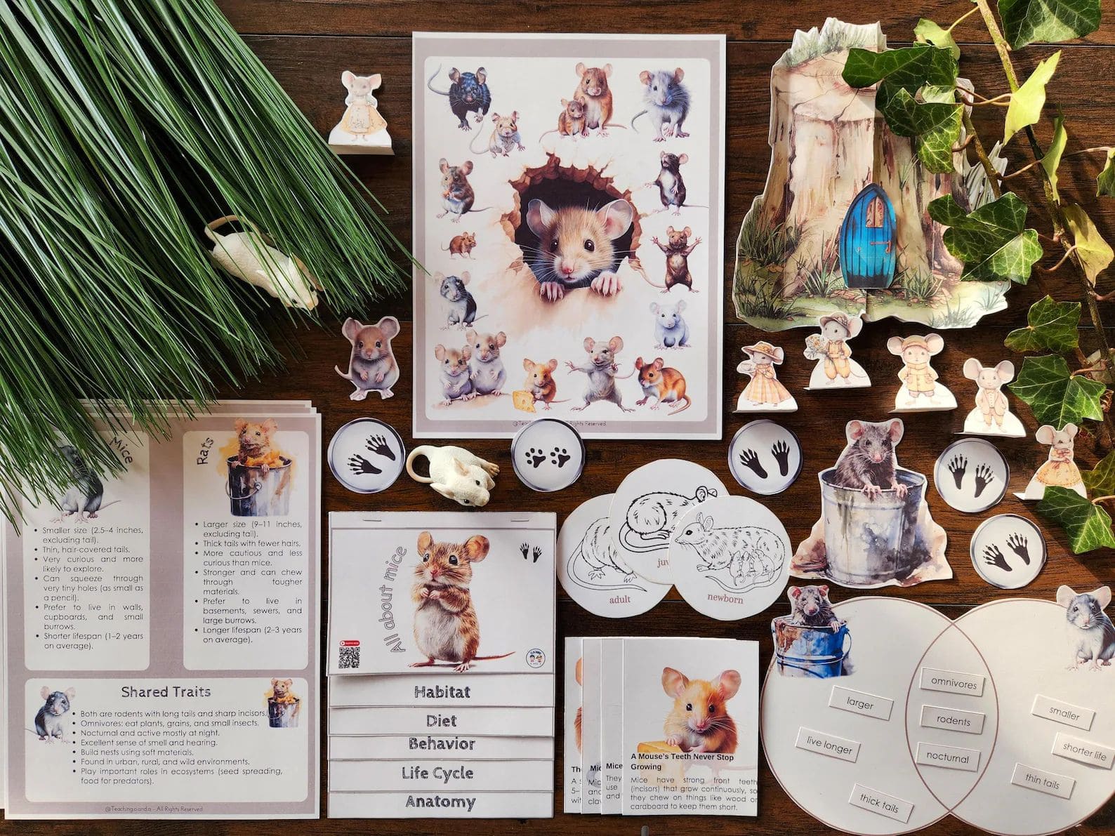 Mice Unit Study for Homeschool – Science & Literacy Activities – My ...