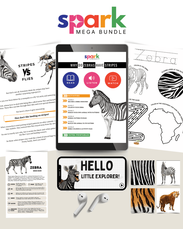 Why Do Zebras Have Stripes Mini Study – My Mega Bundles