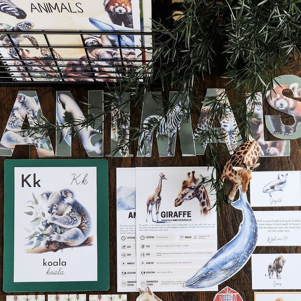 Wild Animals: Exploring the World of Wildlife Printable Study ...