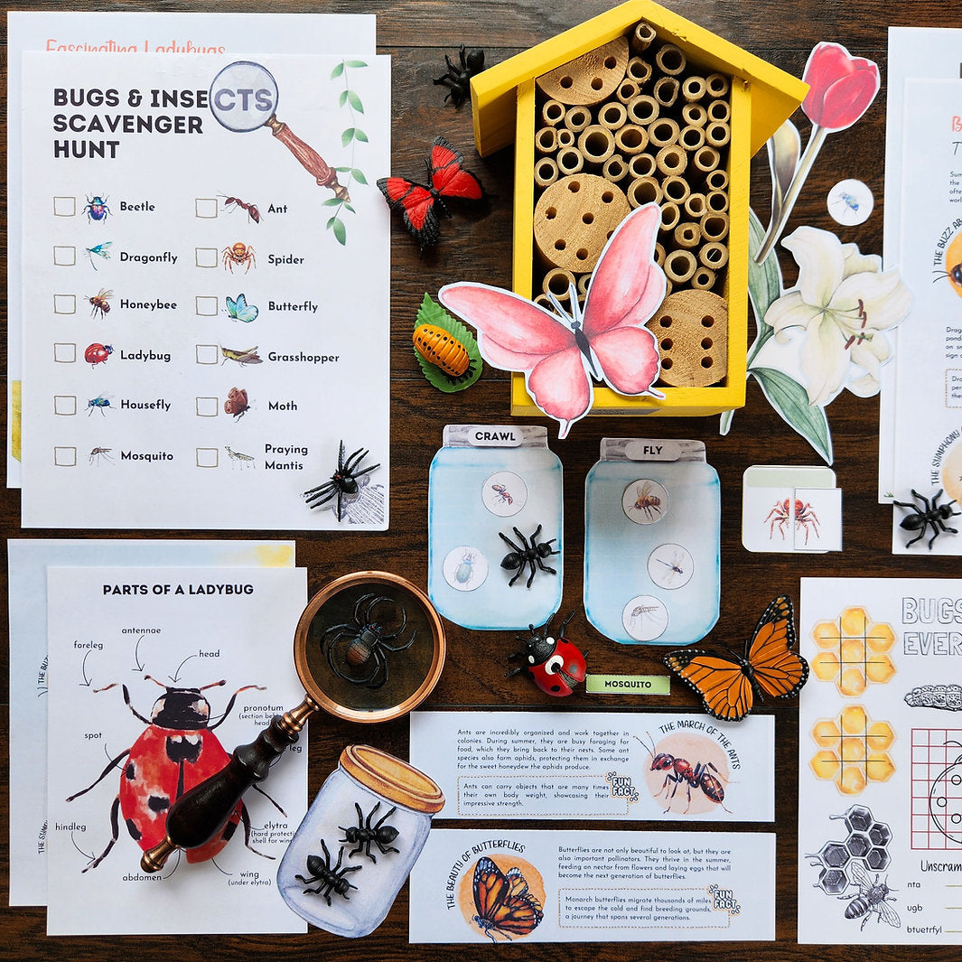 Collections – My Mega Bundles LLC