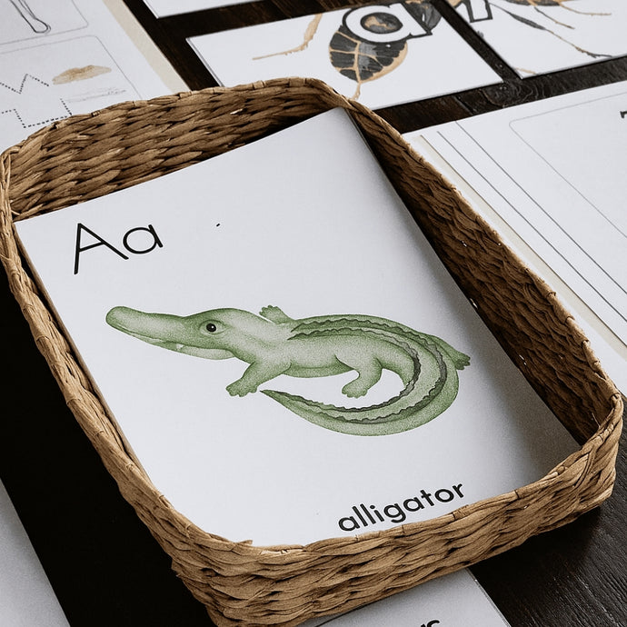 Preschool Alphabet Adventures Printables | Homeschool Printable – My ...